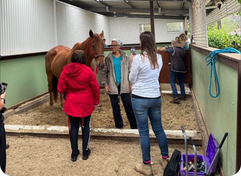 Equine Experiential Learning - Performance Frontiers